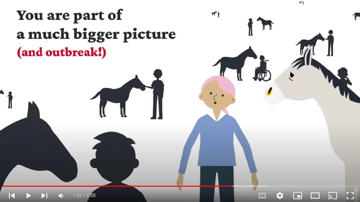 Strangles Awareness Week 2025 | Redwings Horse Sanctuary